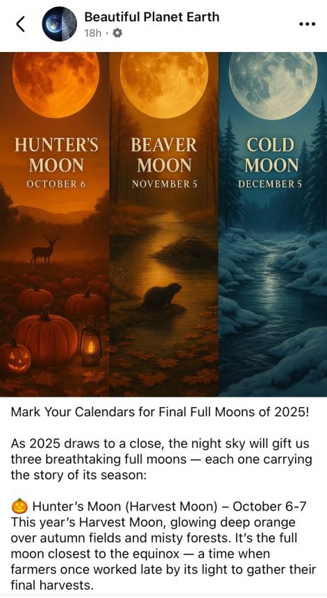 Hunter’s Moon | Ruth's Astrology and Tarot